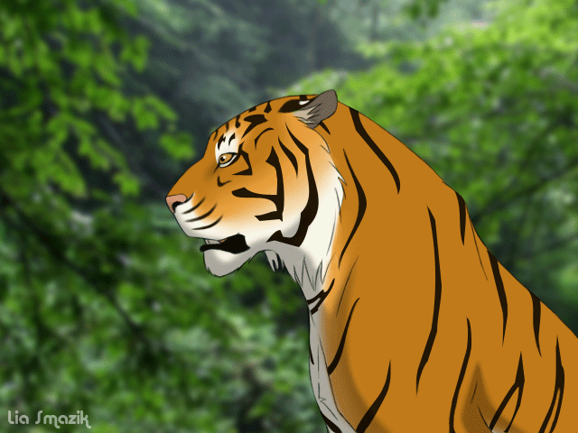 Tejas C Blog Save Tiger Keep Him Roaring Foreever On The Earth